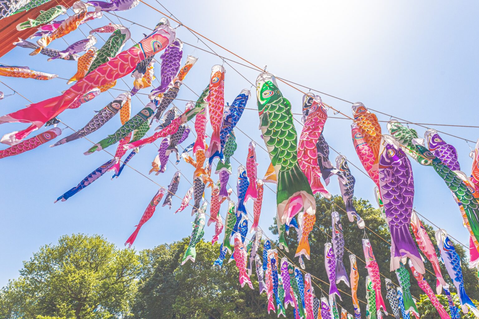 15 Events and Things to do in Japan in April 2024 | Japan Wonder Travel ...