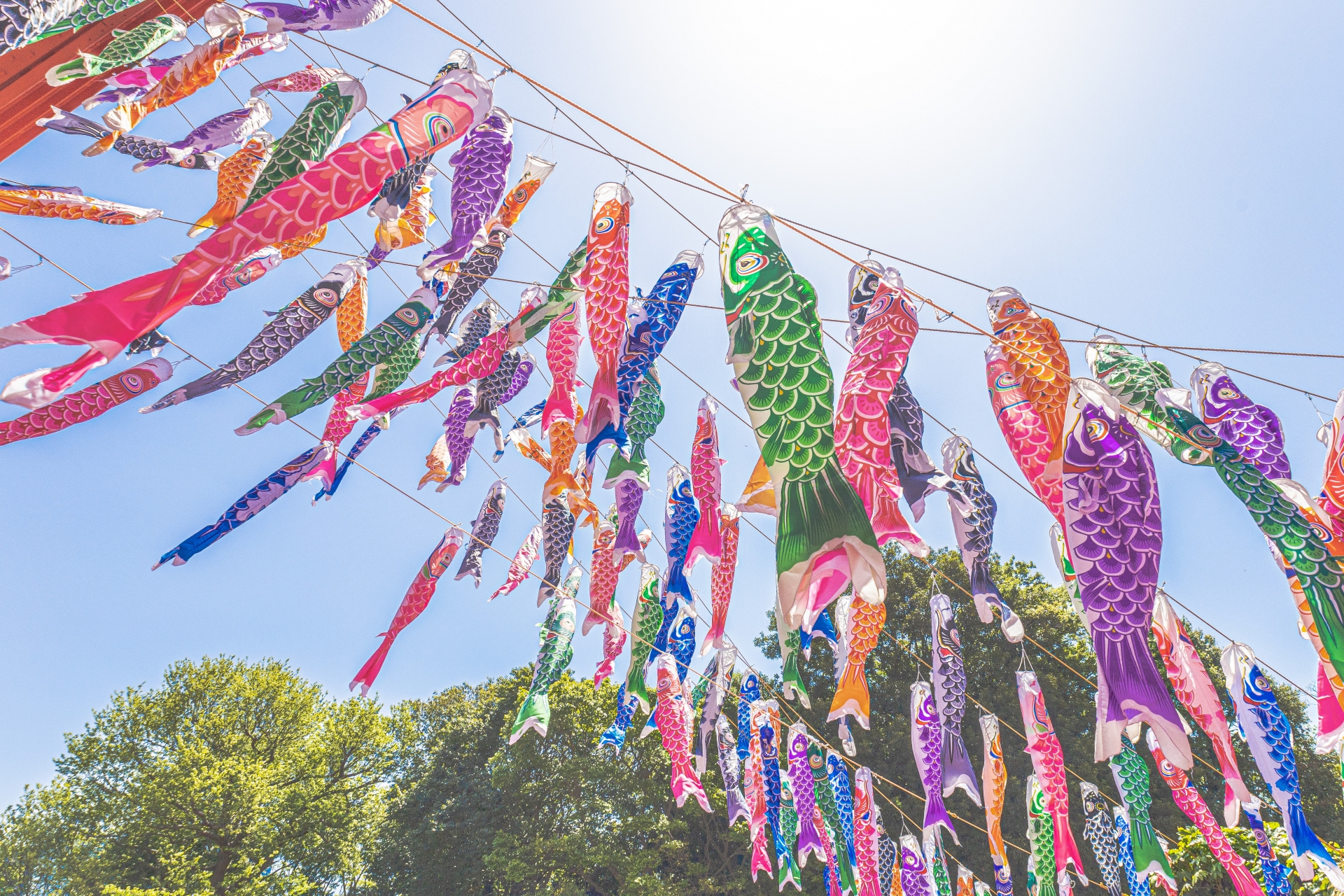 15 Events and Things to do in Japan in April 2024 | Japan Wonder Travel ...