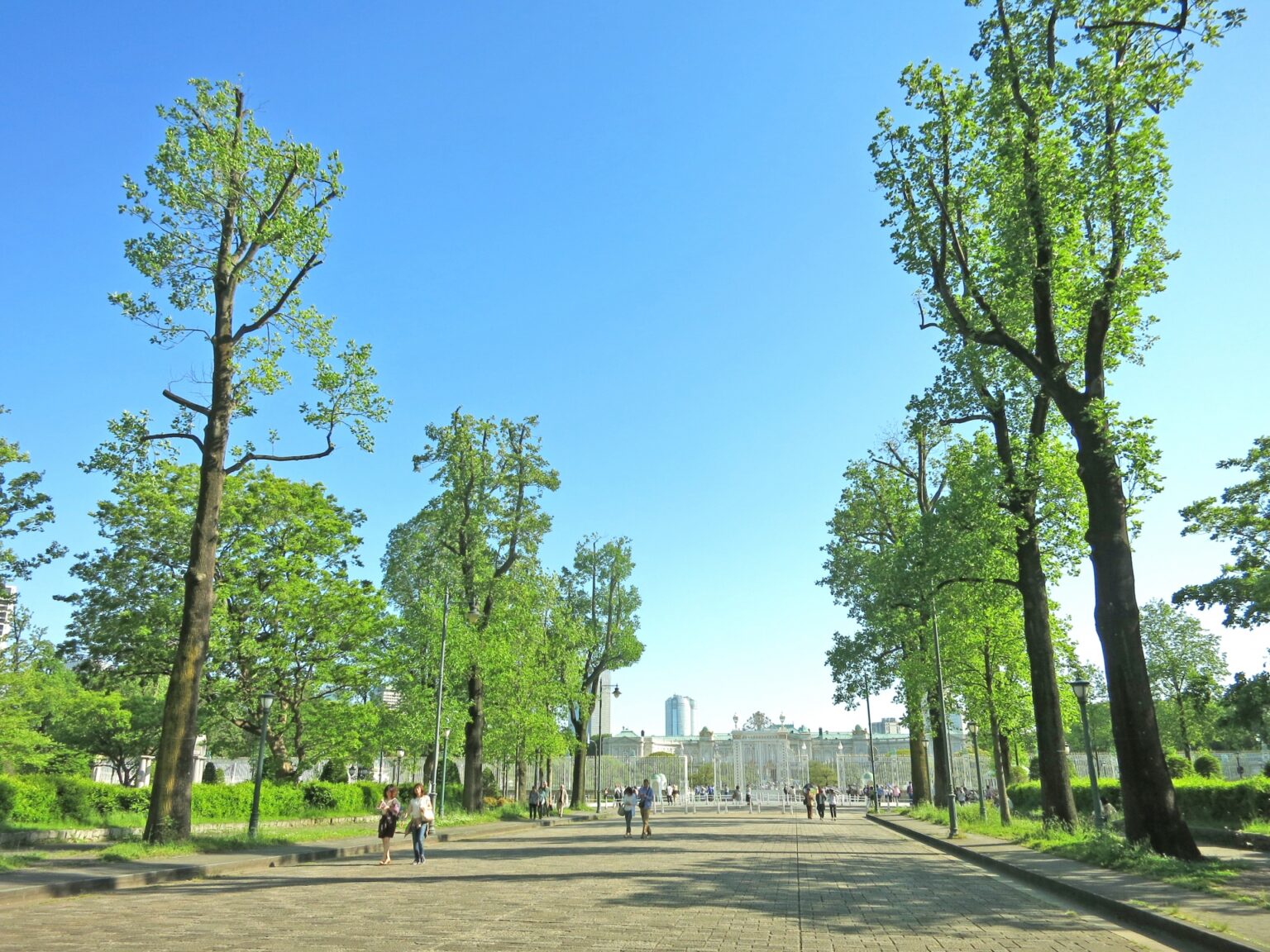 10 Best Running Routes in Tokyo | Japan Wonder Travel Blog