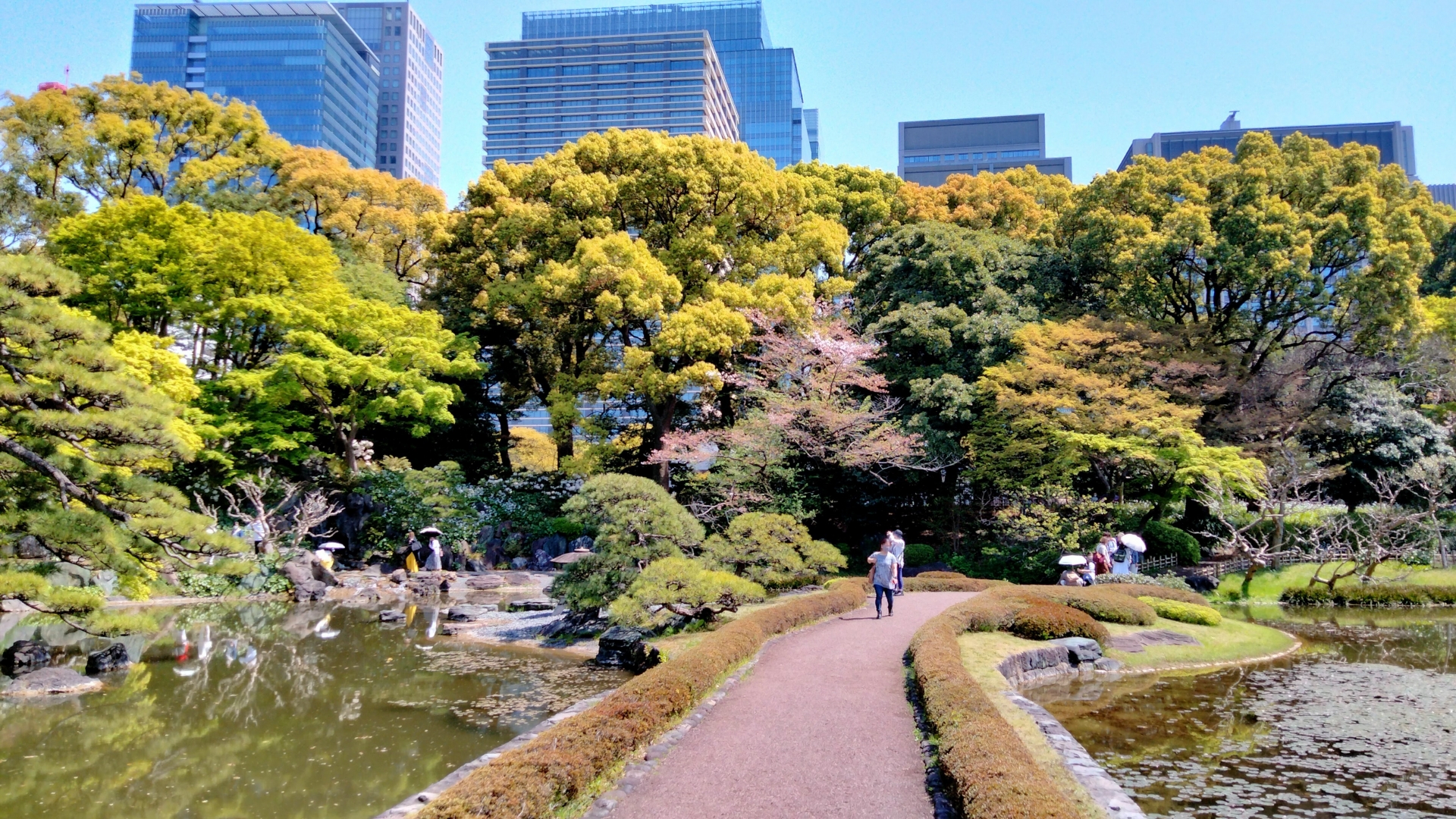 10 Best Running Routes in Tokyo | Japan Wonder Travel Blog
