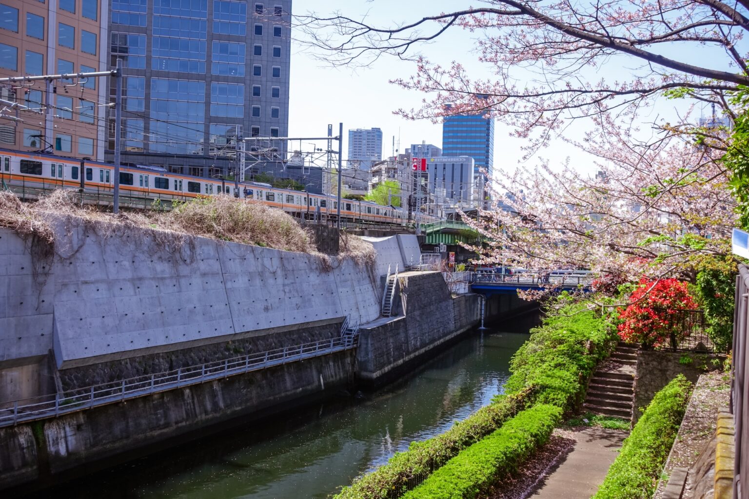 10 Best Running Routes in Tokyo | Japan Wonder Travel Blog