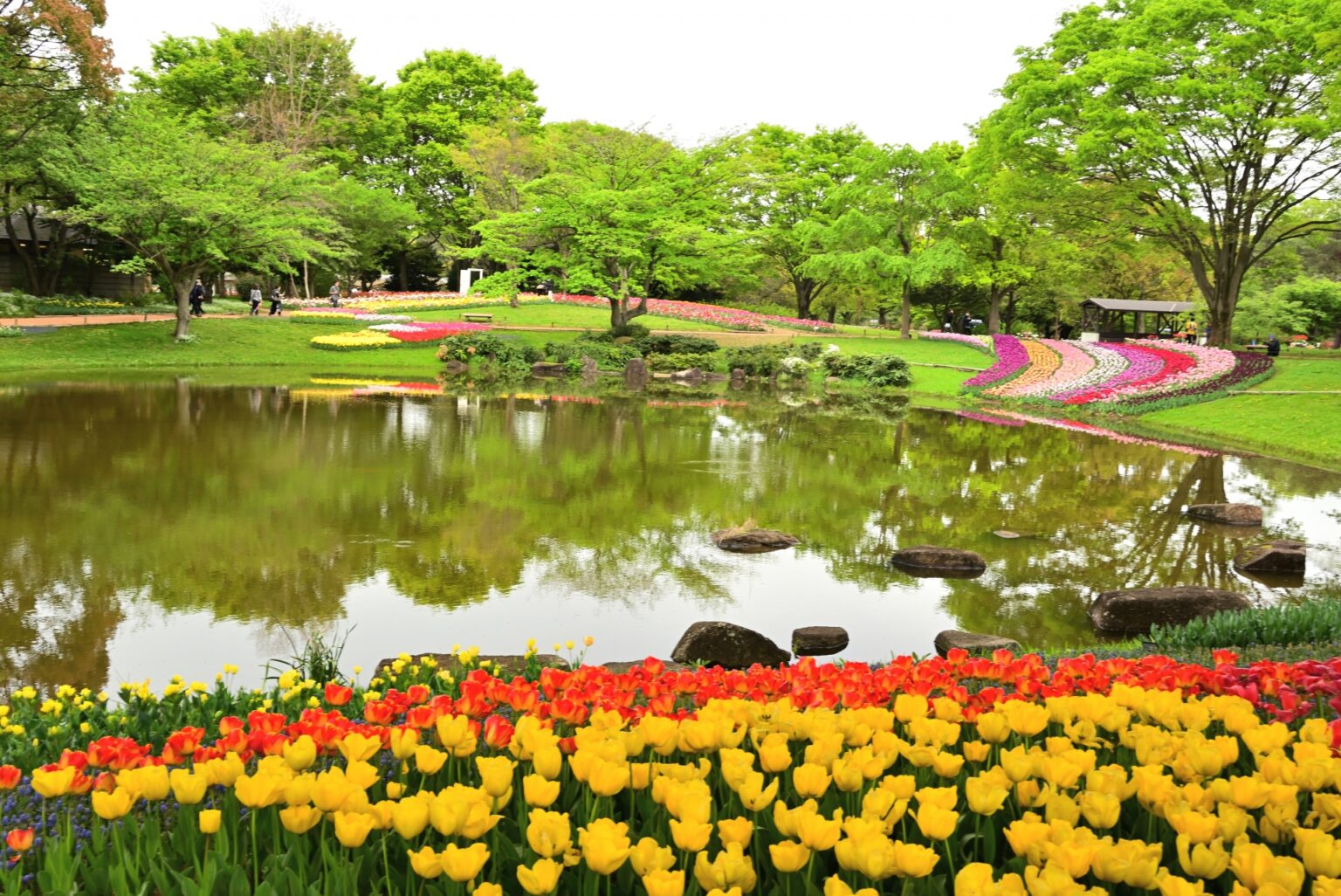 10 Recommended Running Routes in Tokyo | Japan Wonder Travel Blog