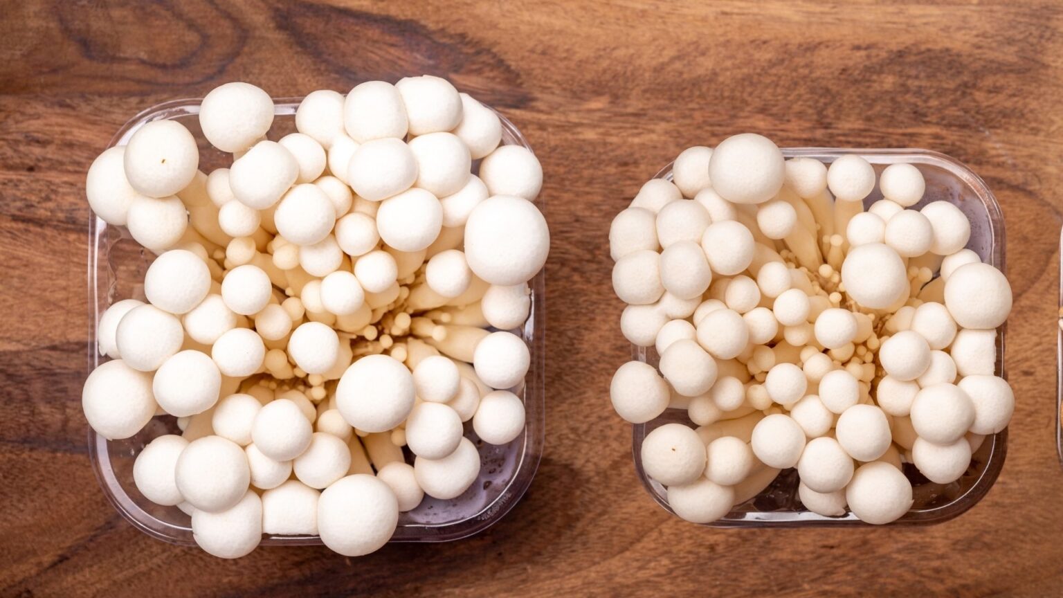 What is Umami? Everything About the Fifth Taste | Japan Wonder Travel Blog