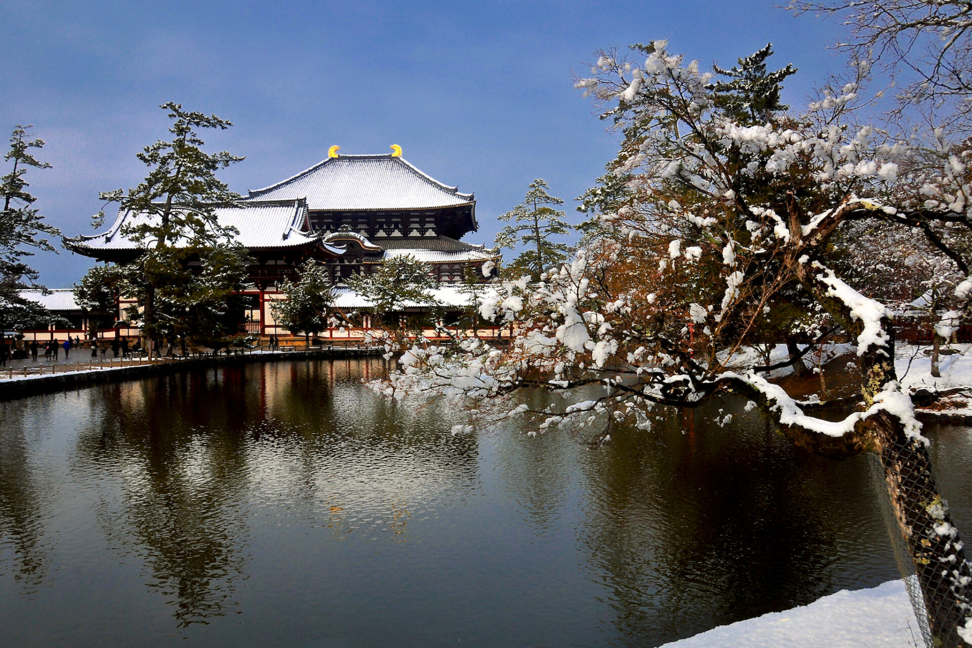 10 Cool and Unique Temples in Japan | Japan Wonder Travel Blog