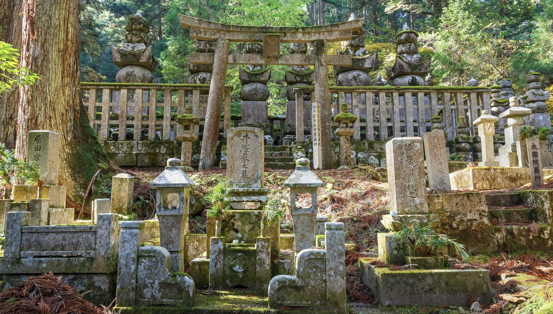 10 Cool and Unique Temples in Japan | Japan Wonder Travel Blog