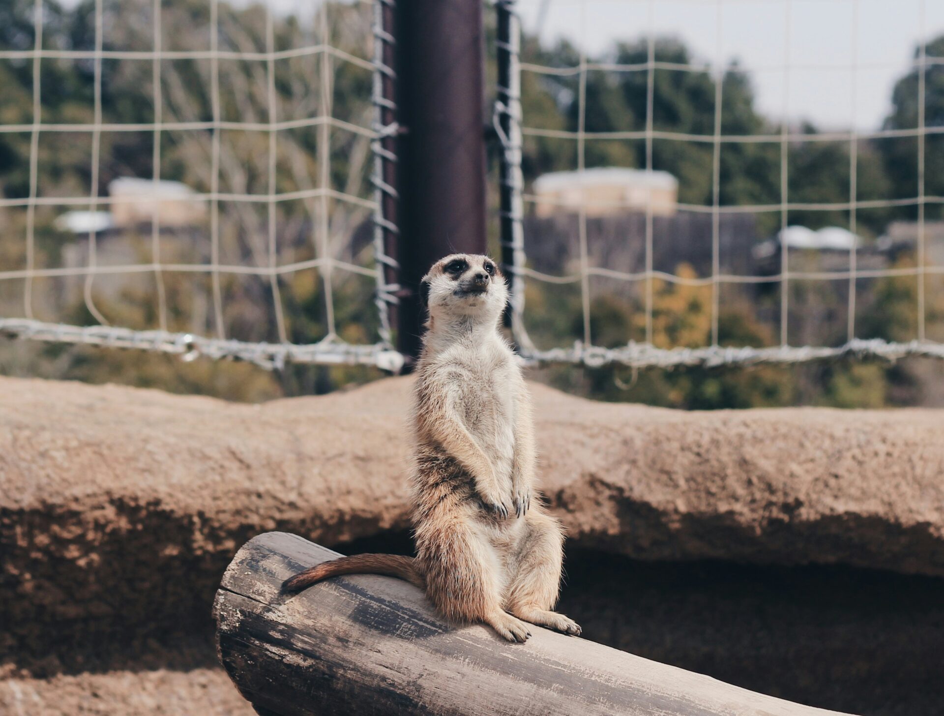 10 Best Zoos in Japan | Japan Wonder Travel Blog