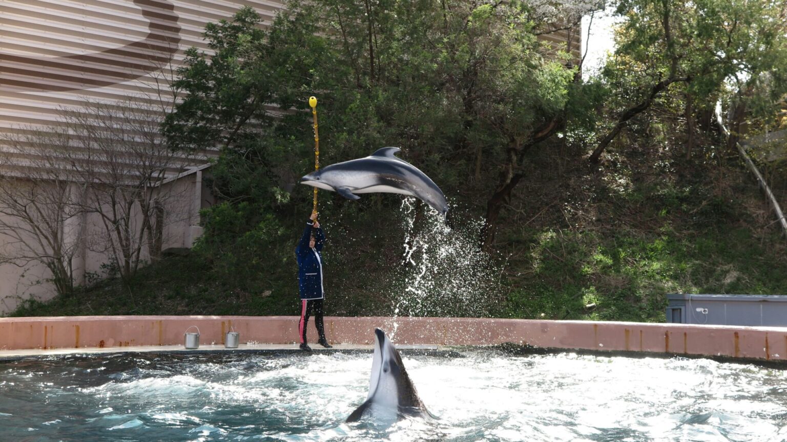 10 Best Zoos in Japan | Japan Wonder Travel Blog