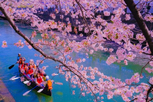 Water Sports in Japan: Great Lakes and Rivers for Water Sports | Japan ...