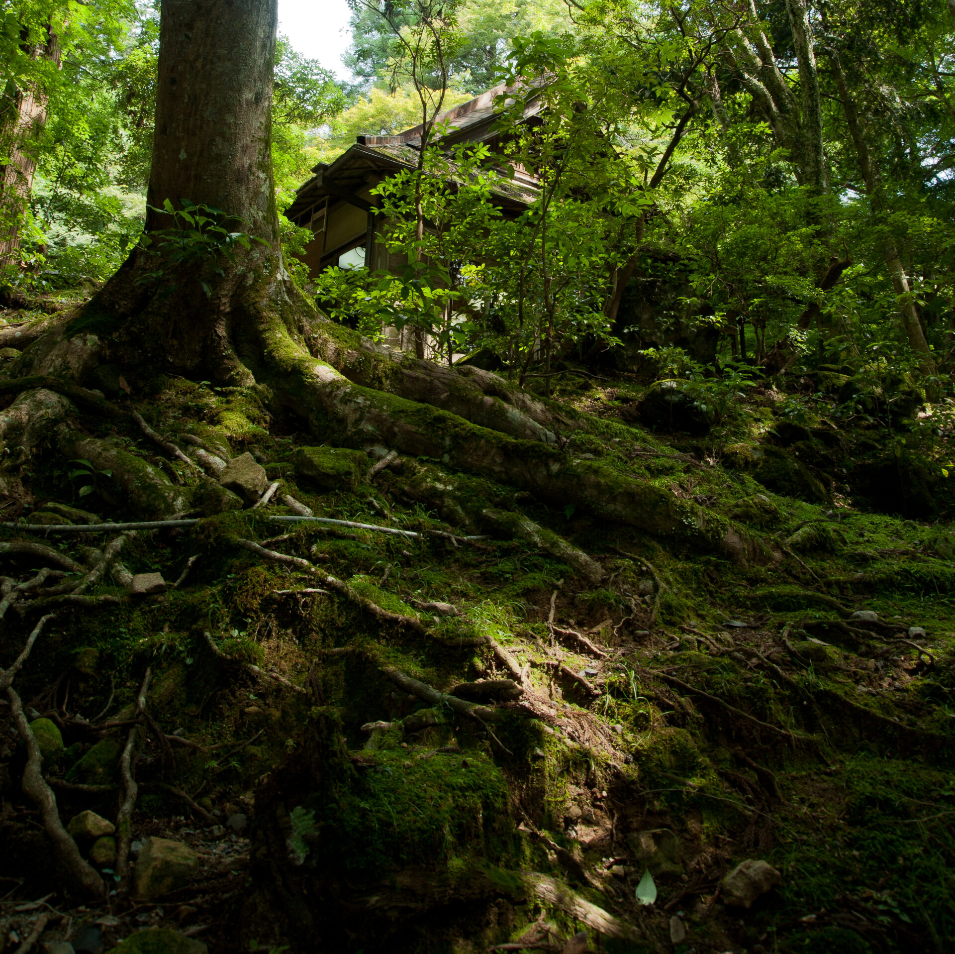 Movie Locations in the Kansai Region | Japan Wonder Travel Blog