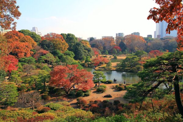 10 Events and Things to Do in Tokyo in October | Japan Wonder Travel Blog