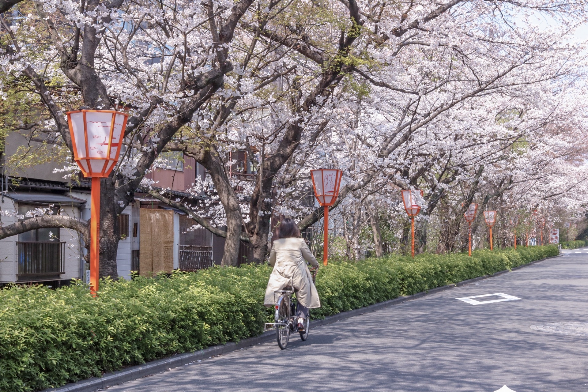 10 Outdoor Activities and Day Trips Around Kyoto | Japan Wonder Travel Blog