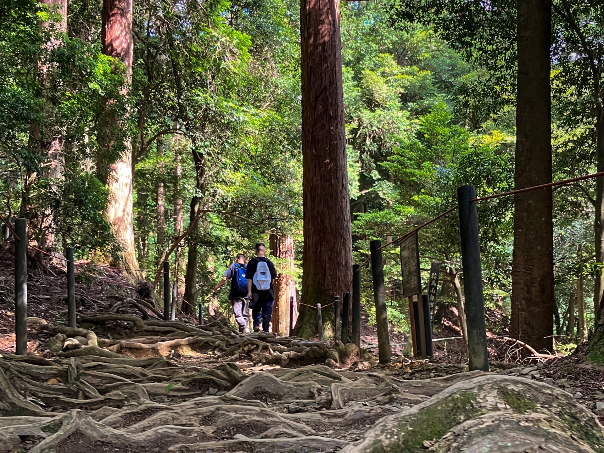 10 Outdoor Activities and Day Trips Around Kyoto | Japan Wonder Travel Blog