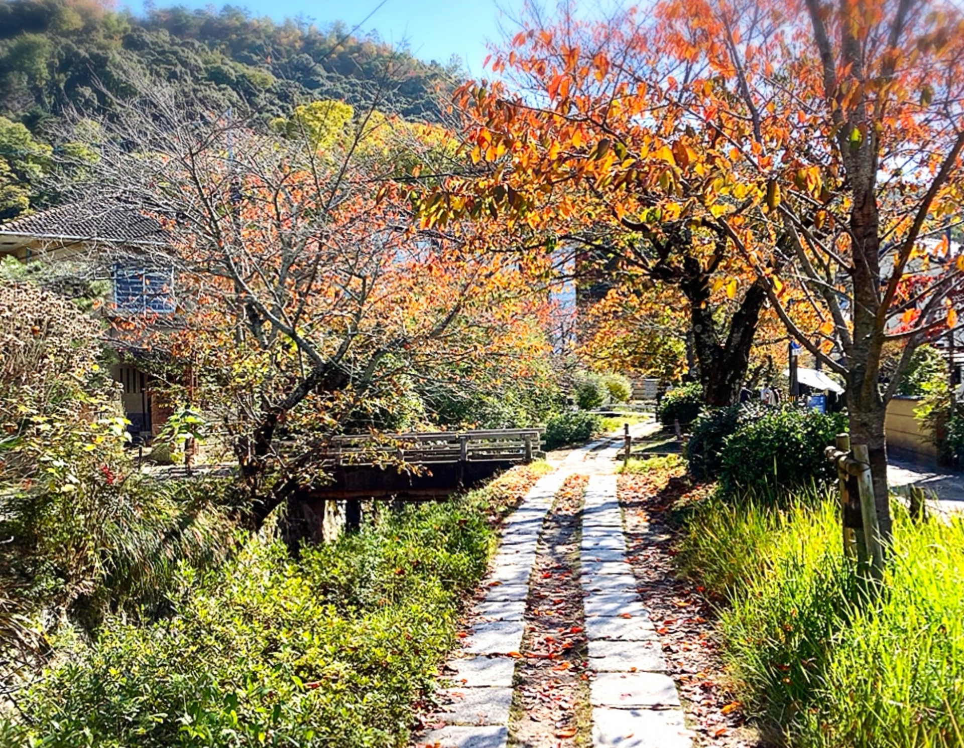 10 Outdoor Activities and Day Trips Around Kyoto | Japan Wonder Travel Blog