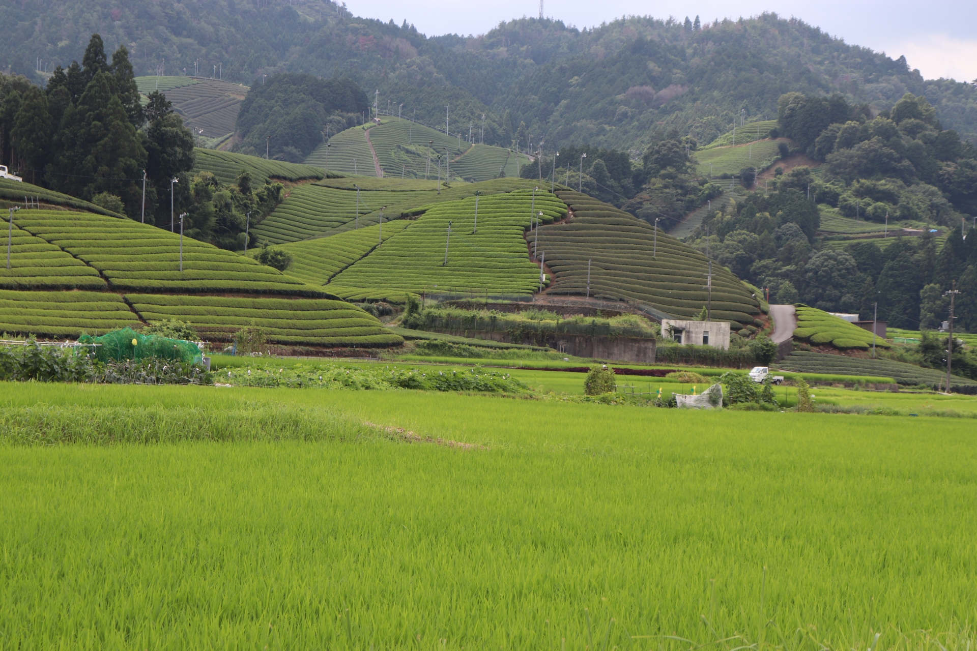 10 Outdoor Activities and Day Trips Around Kyoto | Japan Wonder Travel Blog