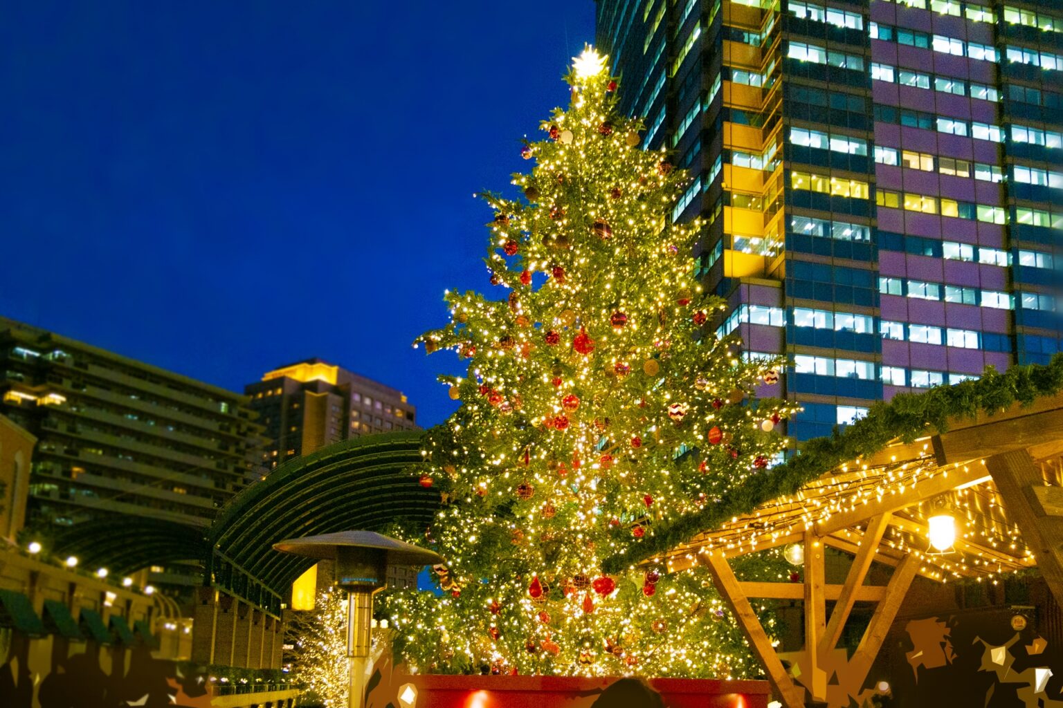 10 Best Events and Things to Do in Japan in December 2024 | Japan ...