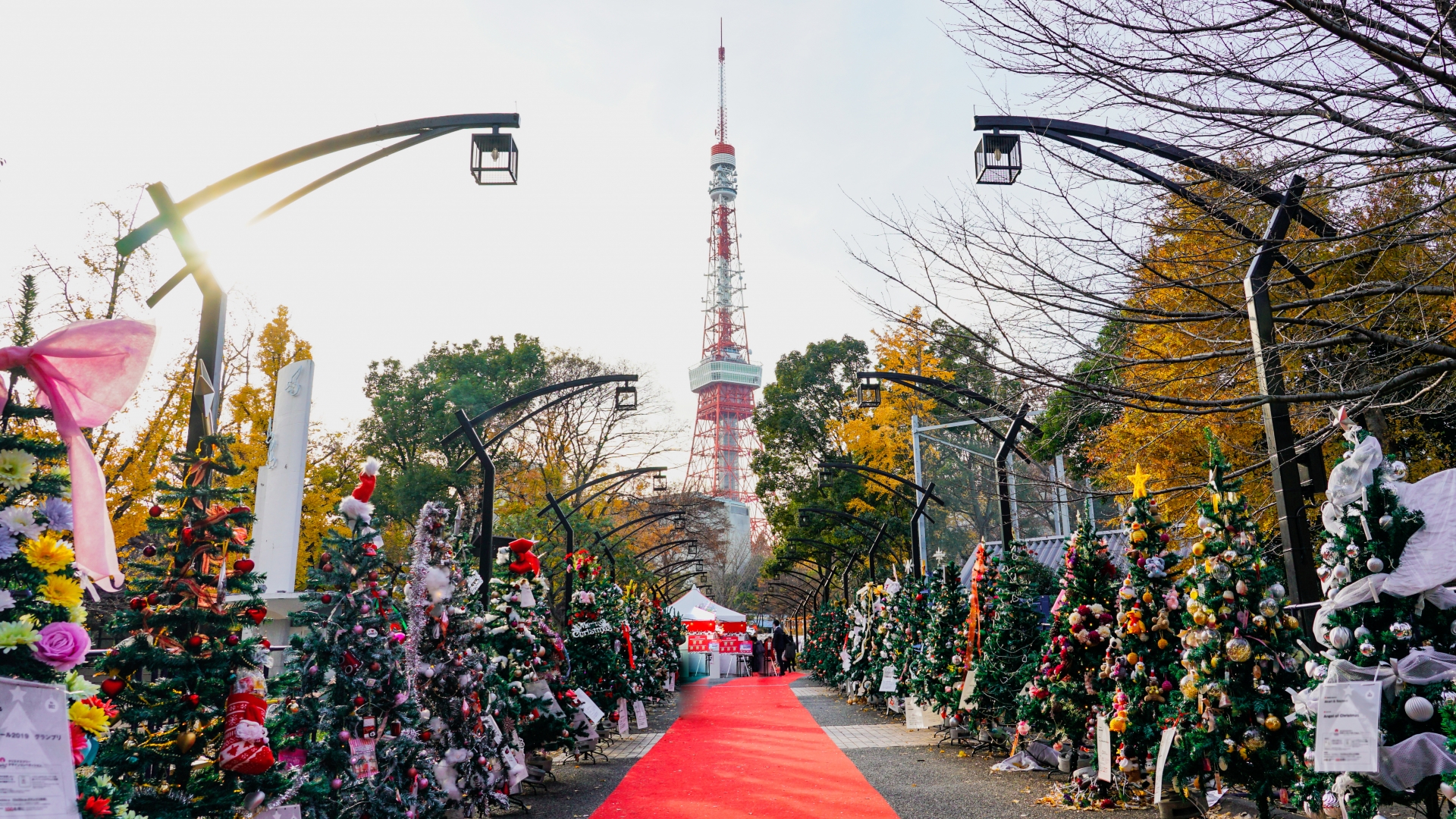 10 Best Events and Things to Do in Japan in December 2024 | Japan ...