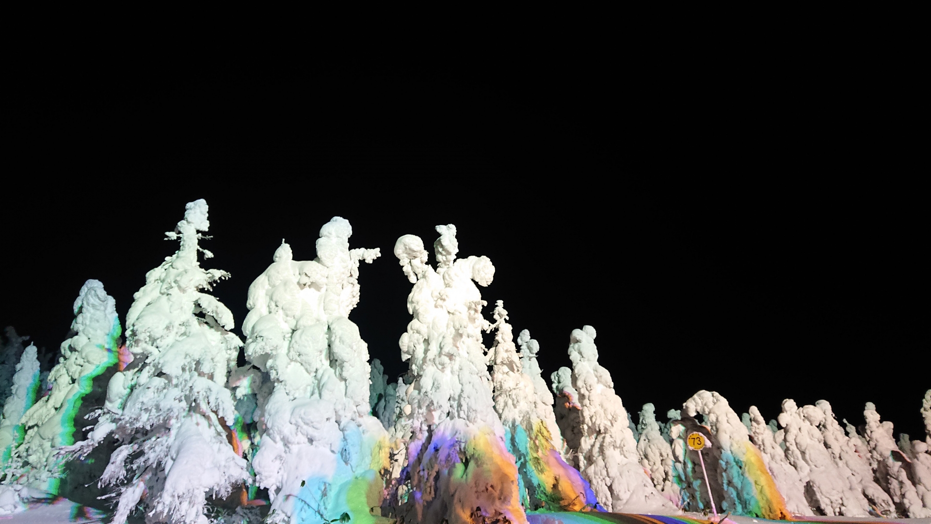 10 Best Events and Things to Do in Japan in December 2024 | Japan ...