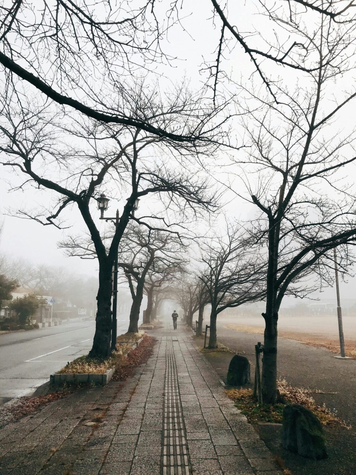 Japan’s Winter Microseasons | Japan Wonder Travel Blog