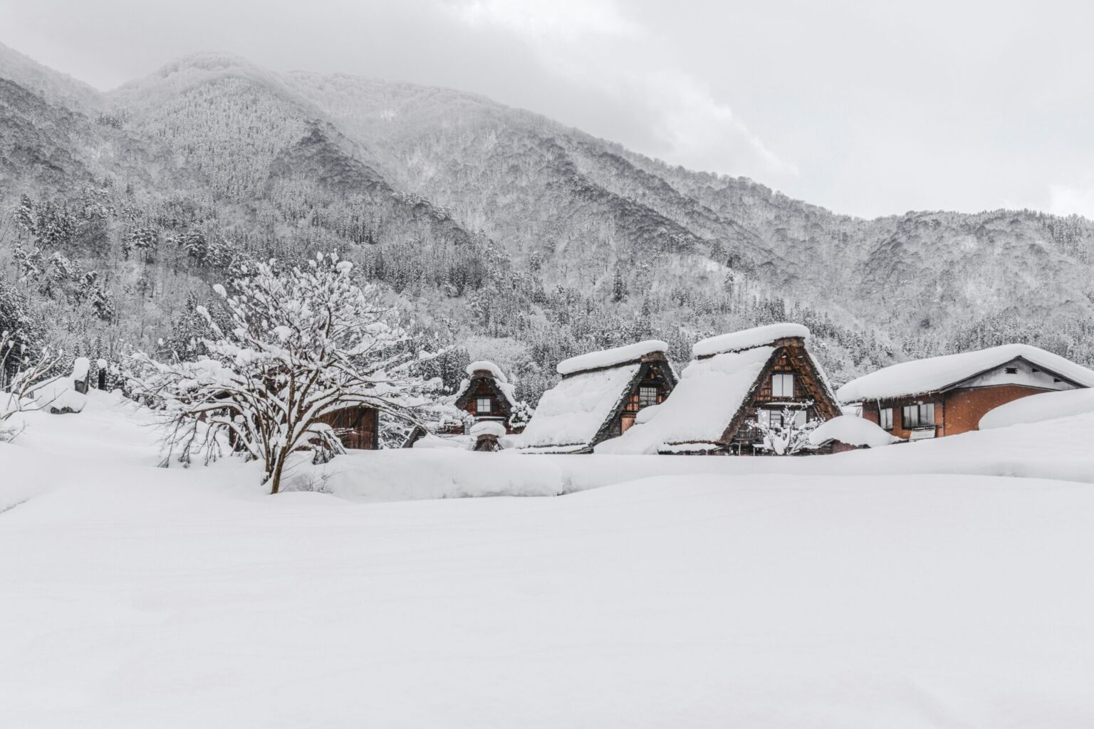 Japan’s Winter Microseasons | Japan Wonder Travel Blog