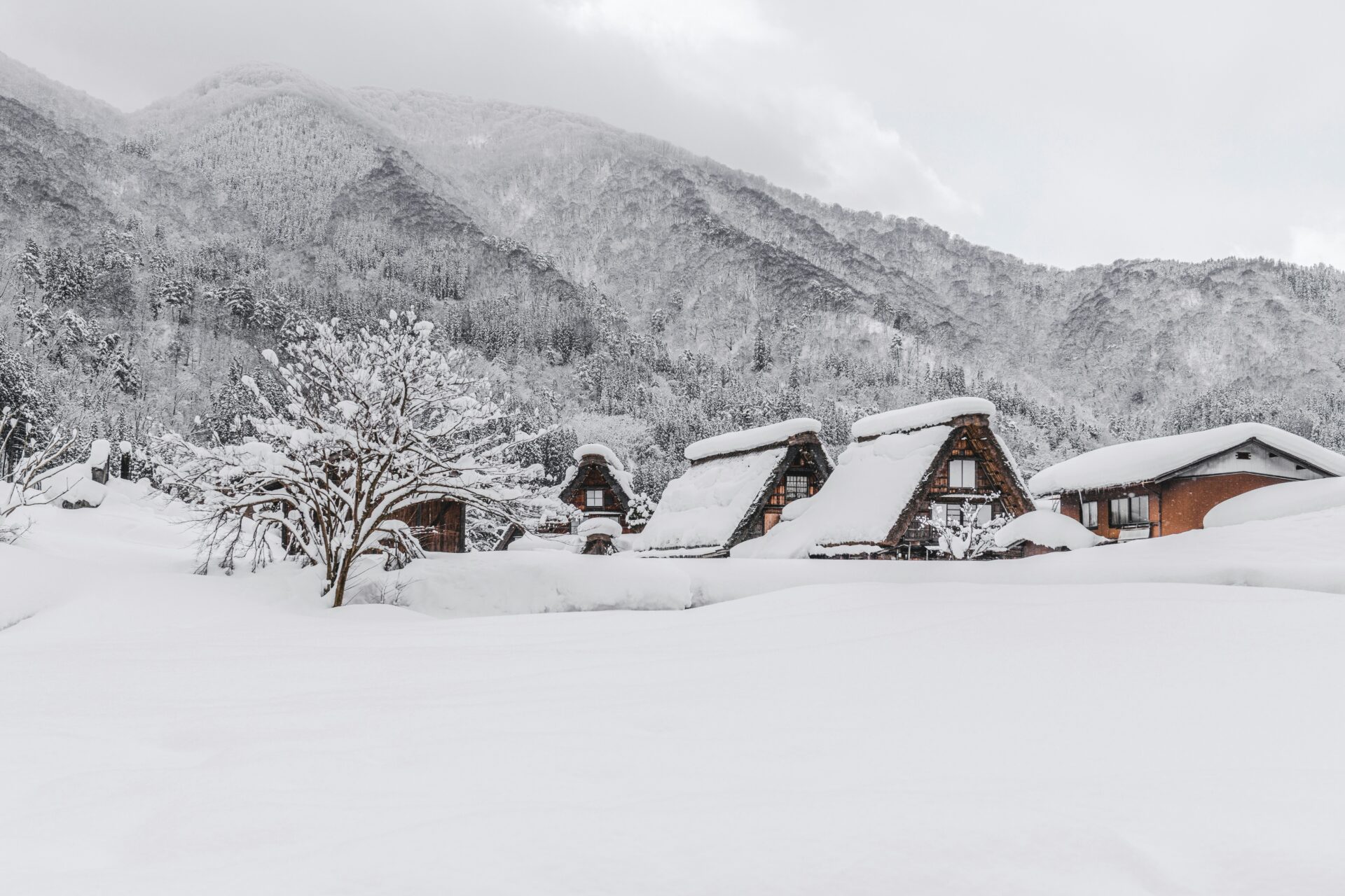 Japan’s Winter Microseasons | Japan Wonder Travel Blog