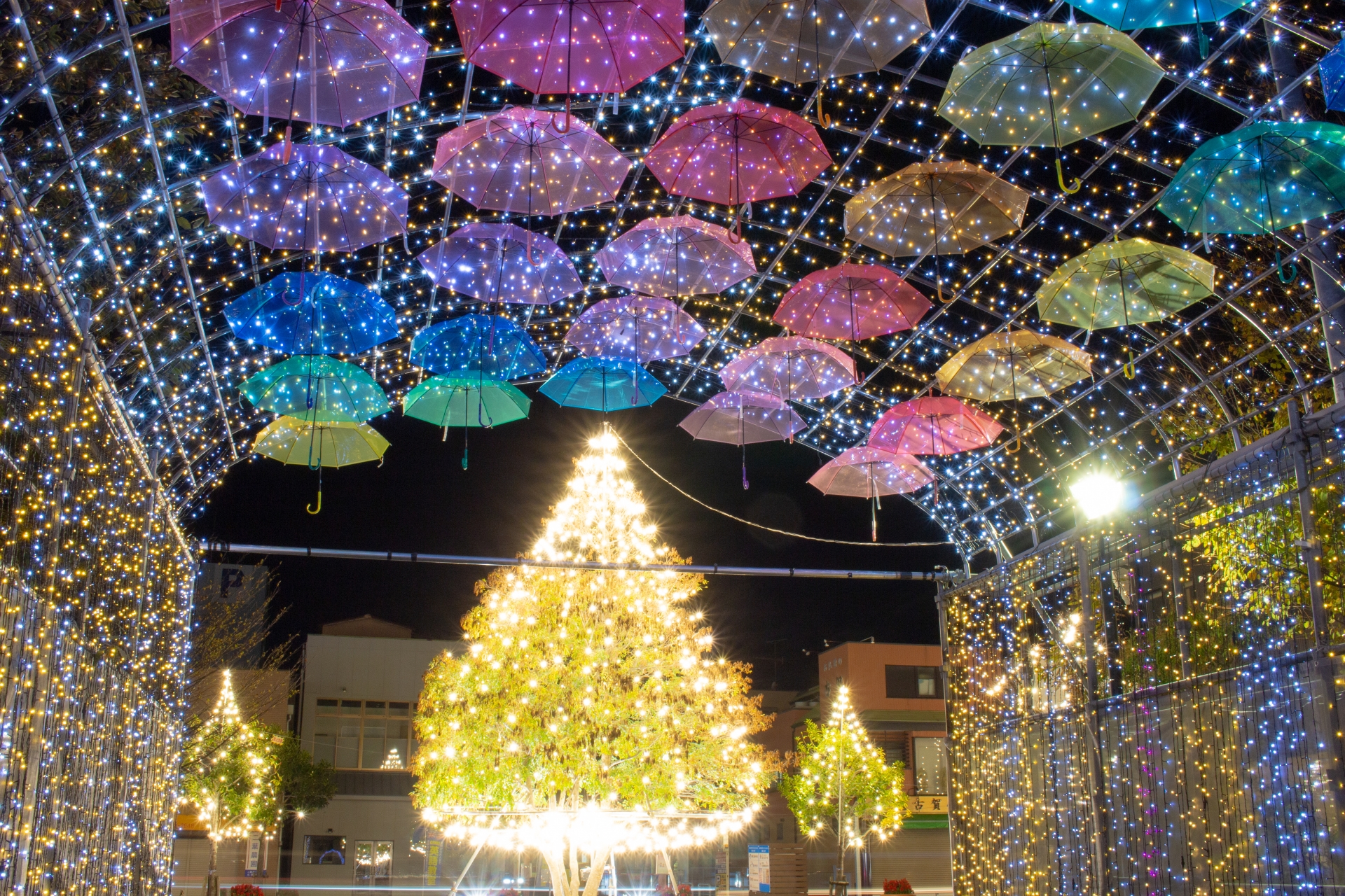 Events and Things to Do in Japan in January 2025 | Japan Wonder Travel Blog