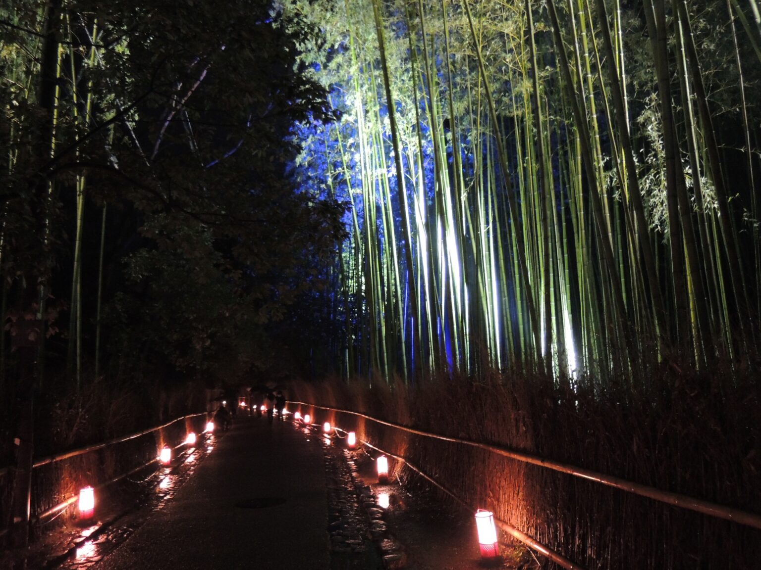 Kyoto Evenings: 10 Things to Do in Kyoto After Sunset | Japan Wonder ...