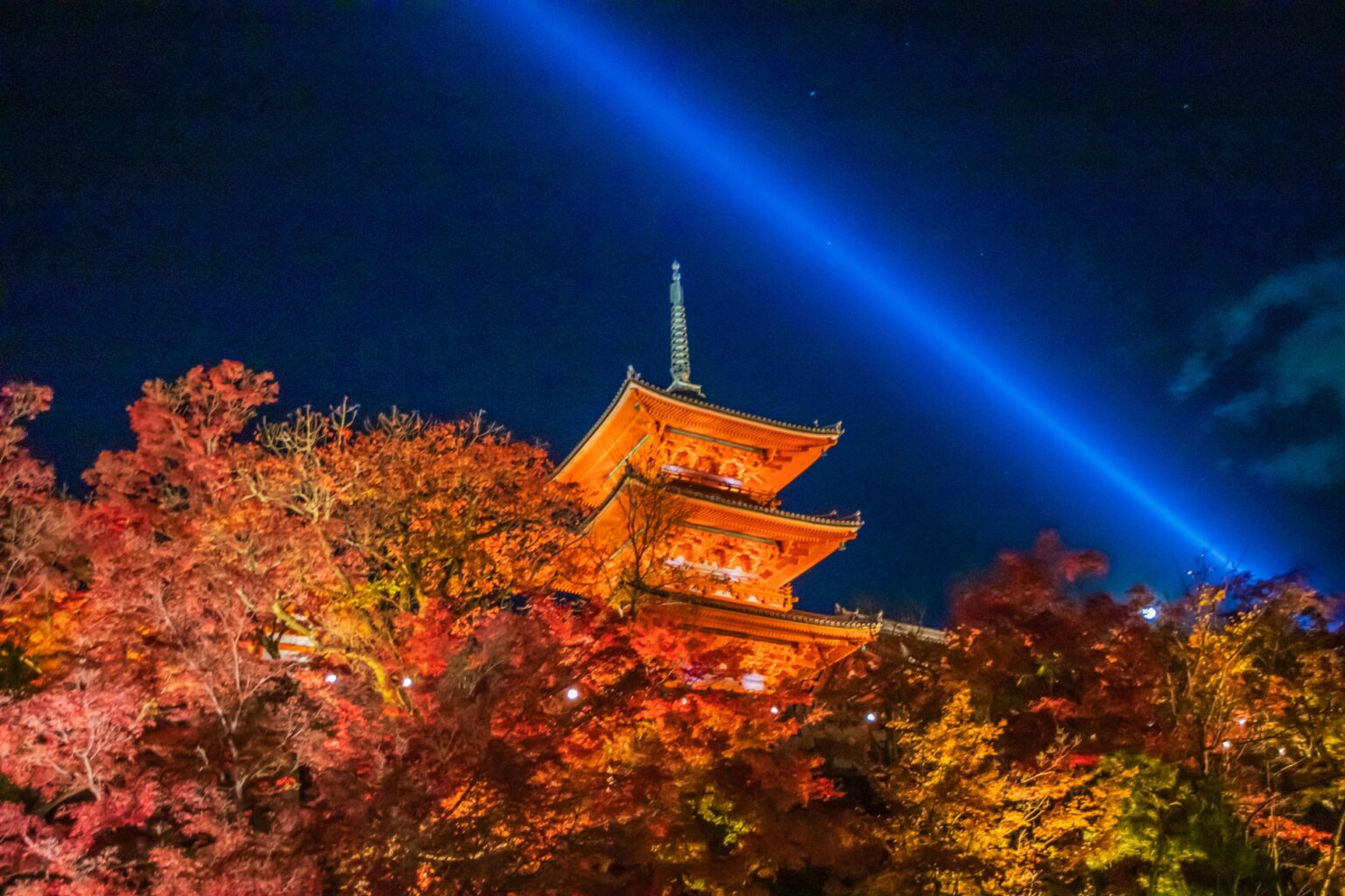 Kyoto Evenings: 10 Things to Do in Kyoto After Sunset | Japan Wonder ...