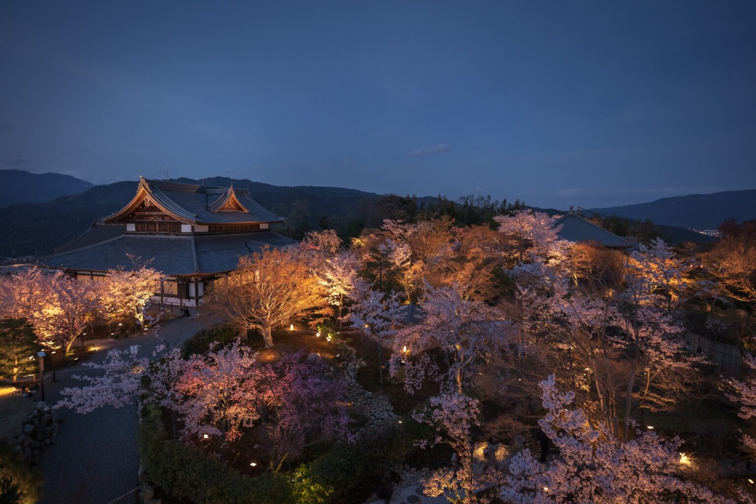 Kyoto Evenings: 10 Things to Do in Kyoto After Sunset | Japan Wonder ...