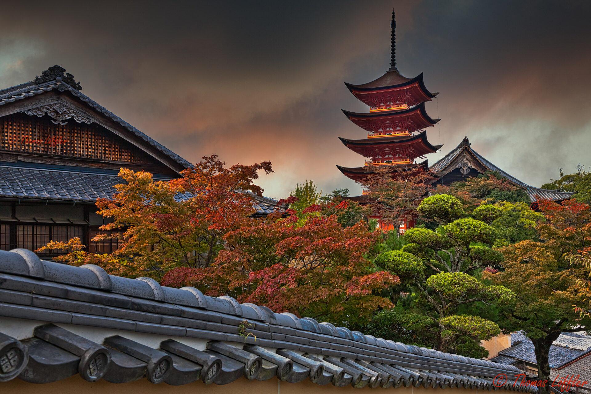 Goshuin: Where To Find The Perfect Japanese Souvenir! | Japan Wonder ...