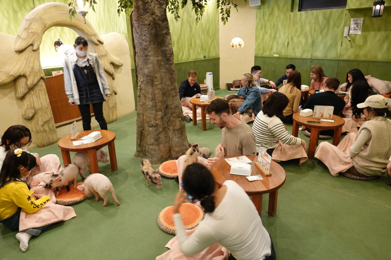 10 Animal Cafes You Have to Visit in Tokyo | Japan Wonder Travel Blog