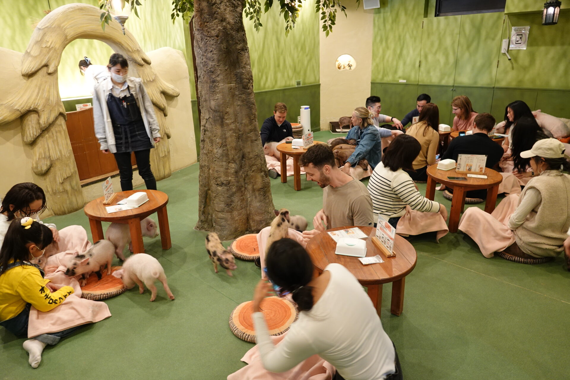 10 Animal Cafes You Have to Visit in Tokyo | Japan Wonder Travel Blog