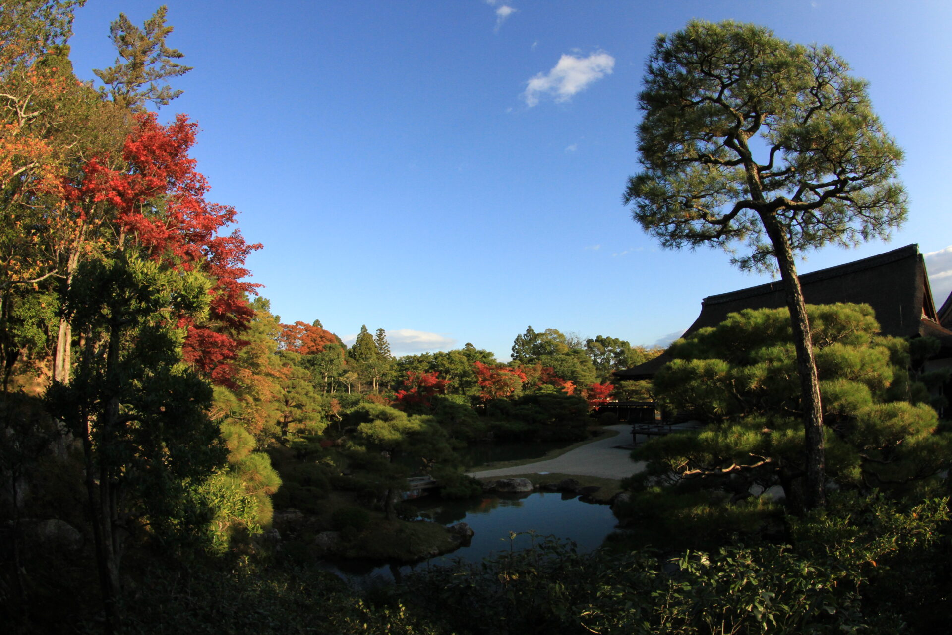 Goshuin: Where To Find The Perfect Japanese Souvenir! | Japan Wonder ...