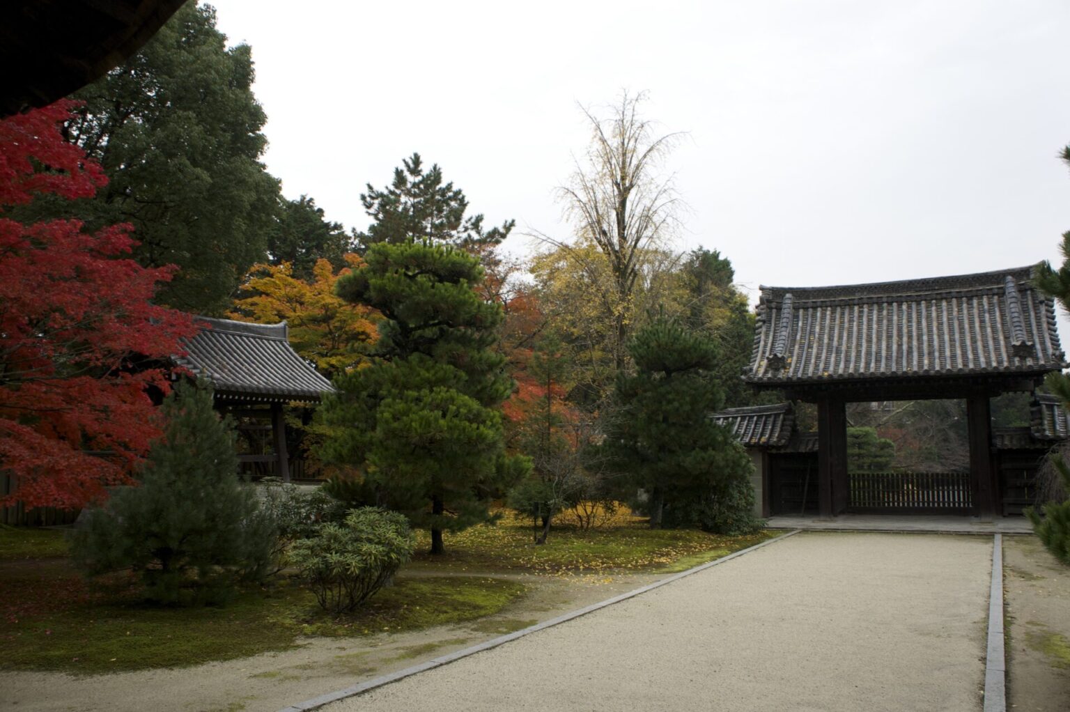 Goshuin: Where To Find The Perfect Japanese Souvenir! | Japan Wonder ...