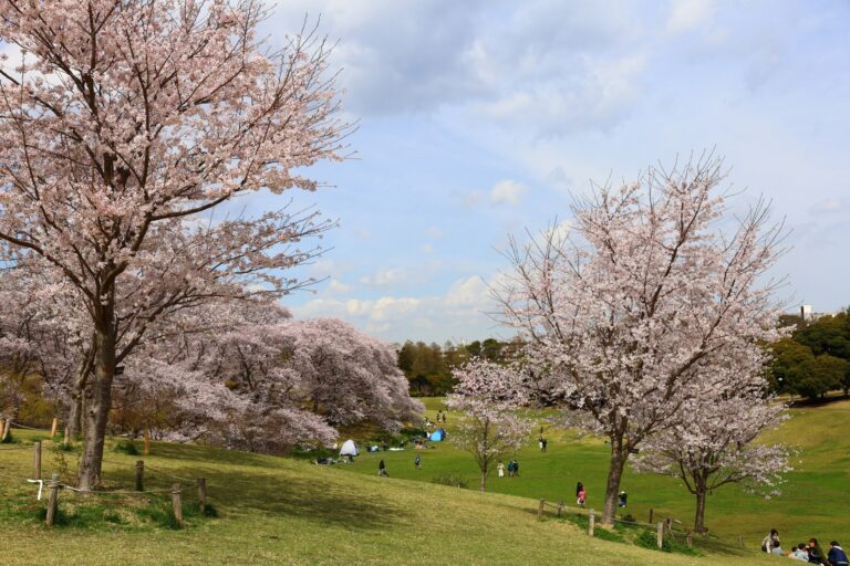 The Ultimate Guide to Yokohama: Japan’s Port City of Culture, Cuisine ...